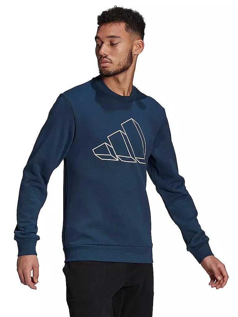 ADIDAS Herren Sweater Sportswear Graphic blau