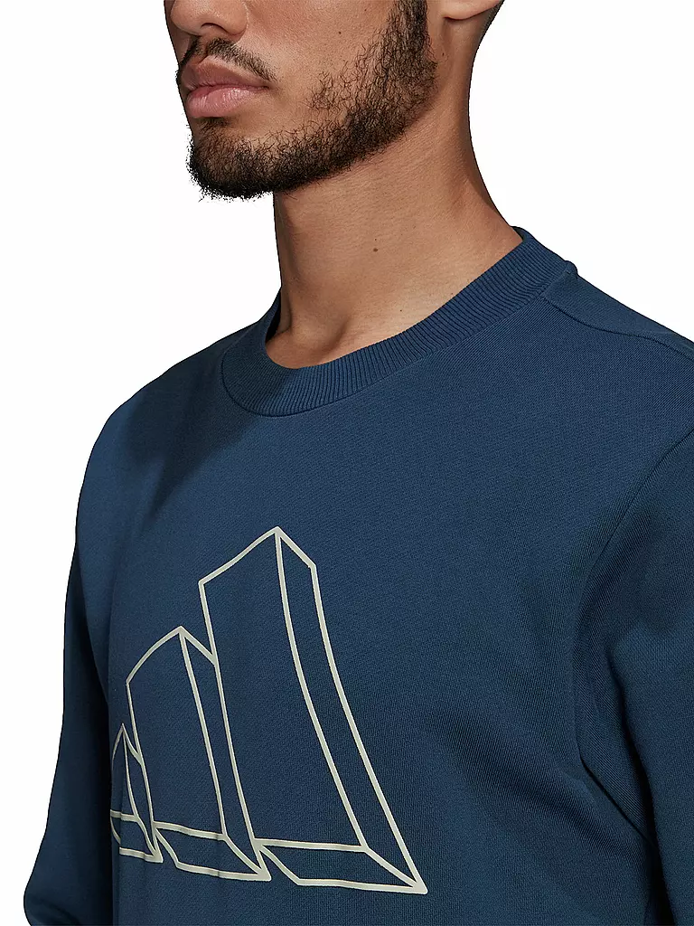 ADIDAS Herren Sweater Sportswear Graphic blau
