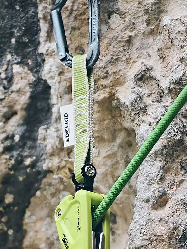 EDELRID Sicherungsgerät OHM grün