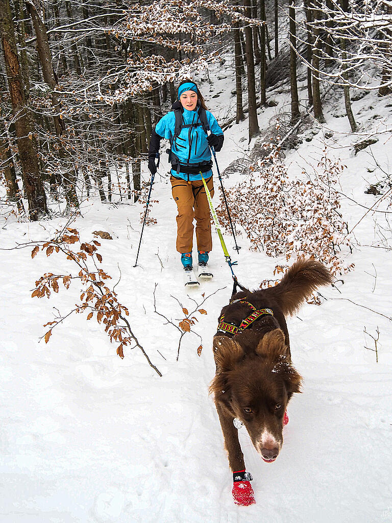 MAMO PET SPORTS Mamo 360° Infinity Belt System schwarz