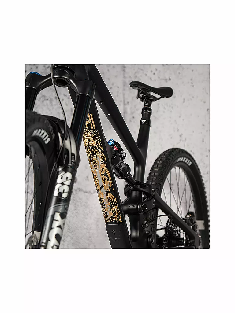 RIESEL DESIGN frame:guard Illuminati Gold gold